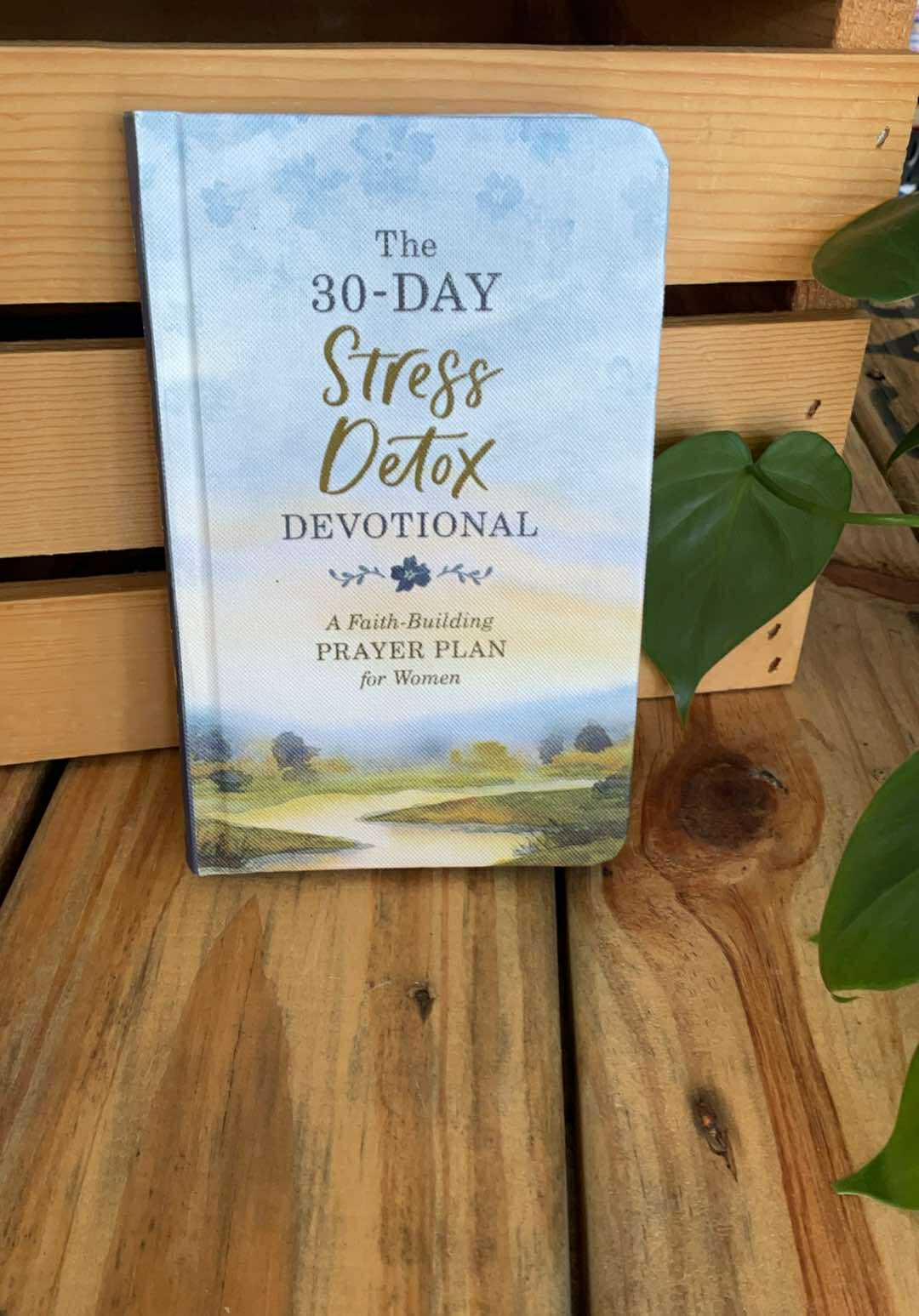The 30-Day Stress Detox Devotional: A Faith-Building Prayer Plan for W ...